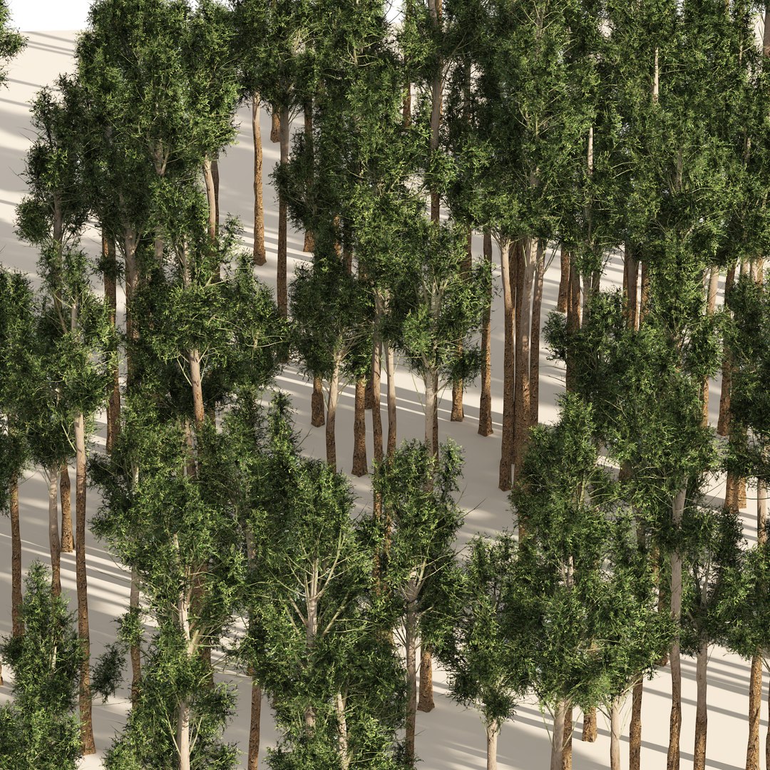 3D Flooded Gum Forest Tree - TurboSquid 2004621