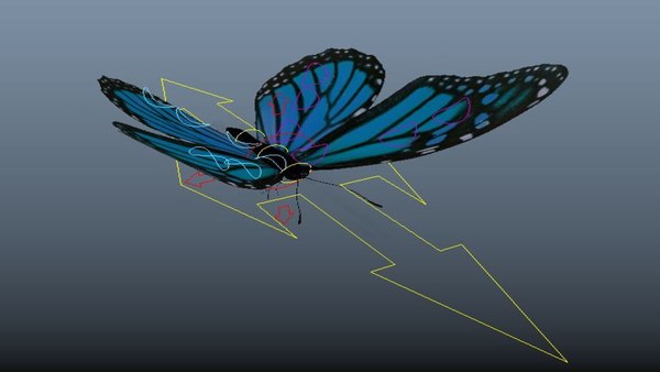 Butterfly 3D model - TurboSquid 1743051
