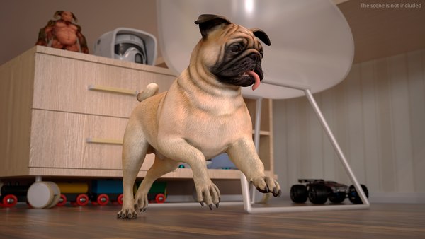 Dogs Rigged Collection 3 for Cinema 4D 3D model - TurboSquid 1899831