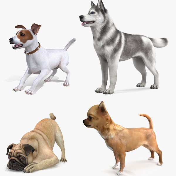 free dog 3d model