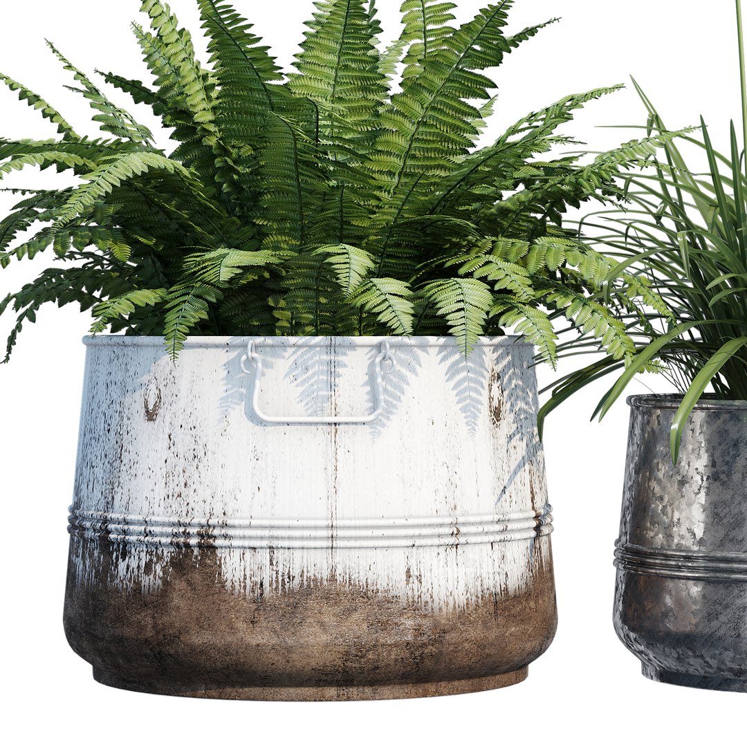 3D Cowden - TurboSquid 1761072