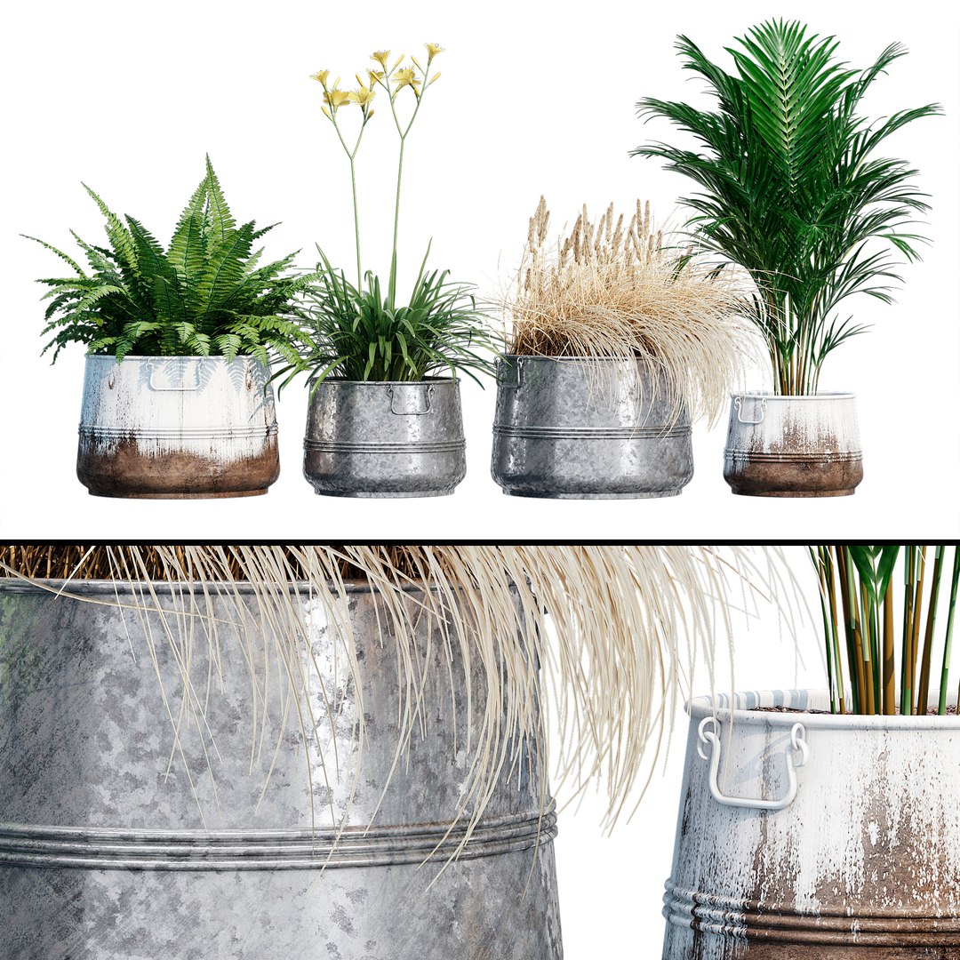 3D Cowden - TurboSquid 1761072