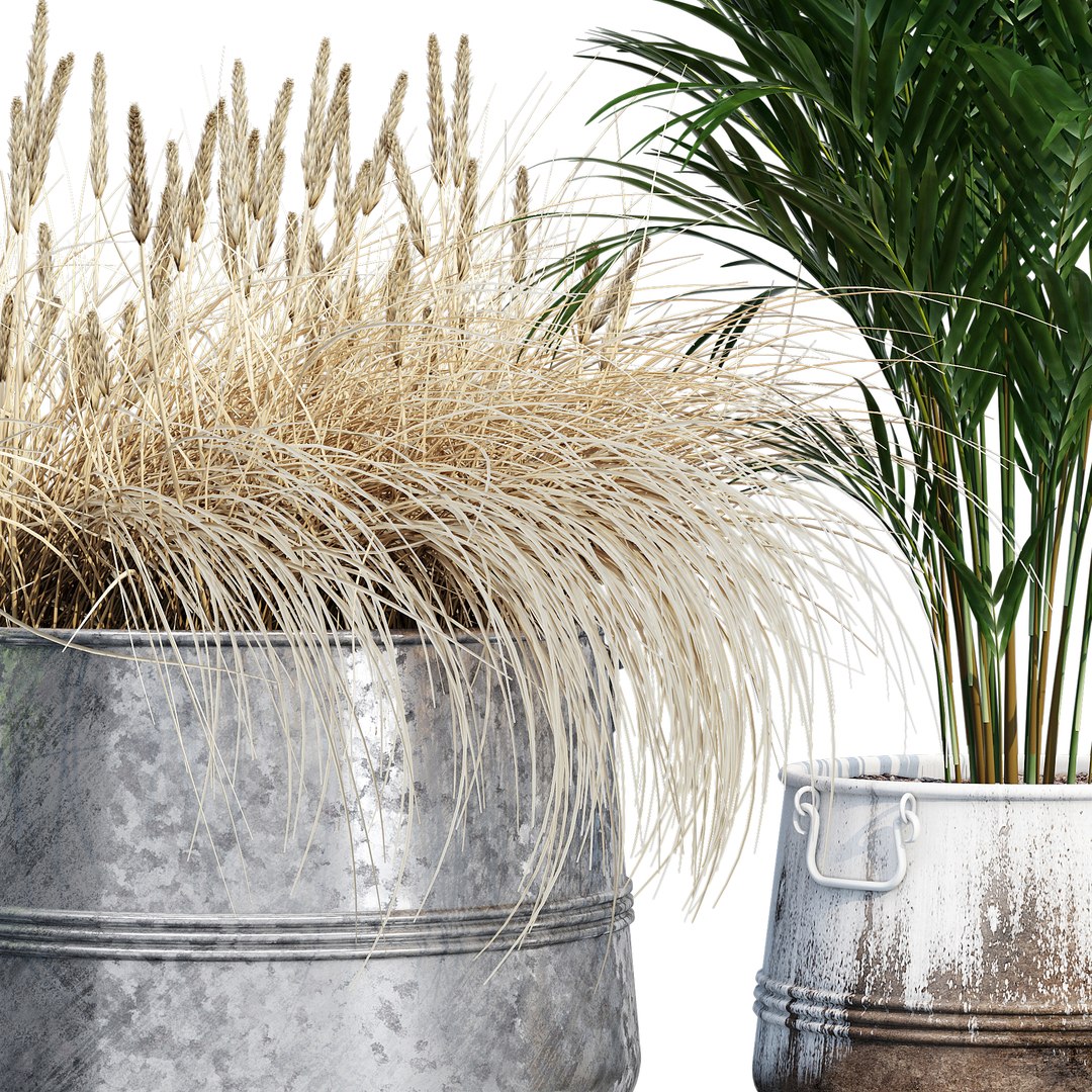 3D Cowden - TurboSquid 1761072