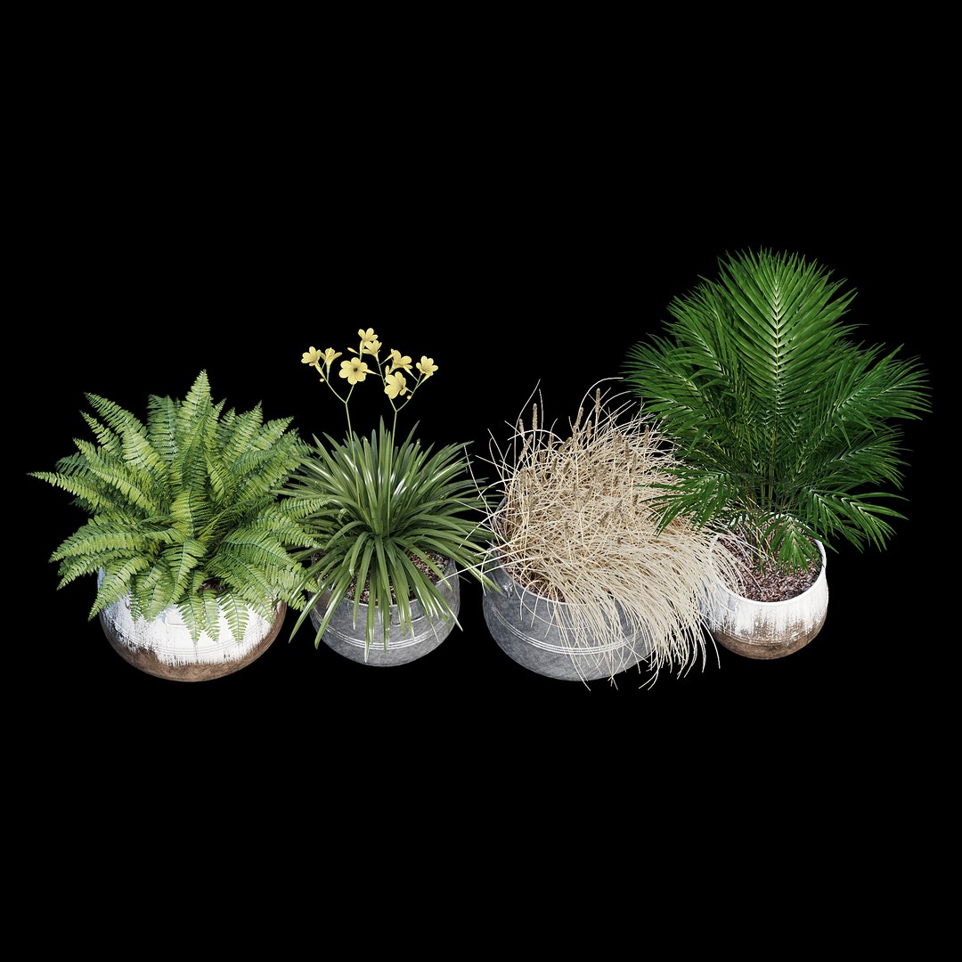 3D Cowden - TurboSquid 1761072