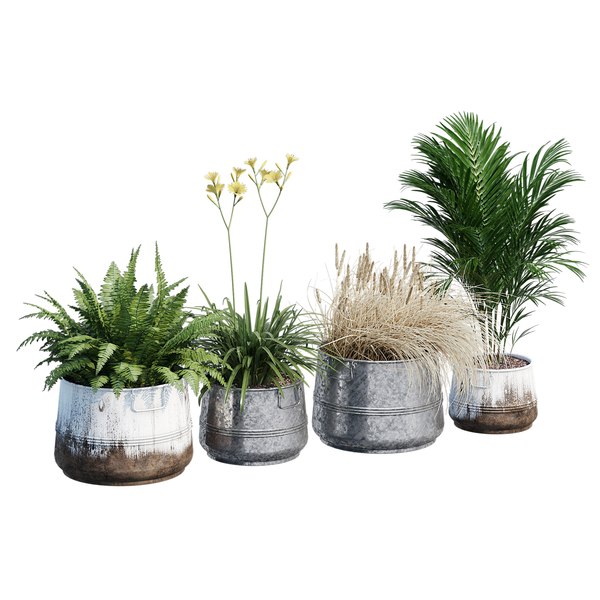 3D Cowden - TurboSquid 1761072