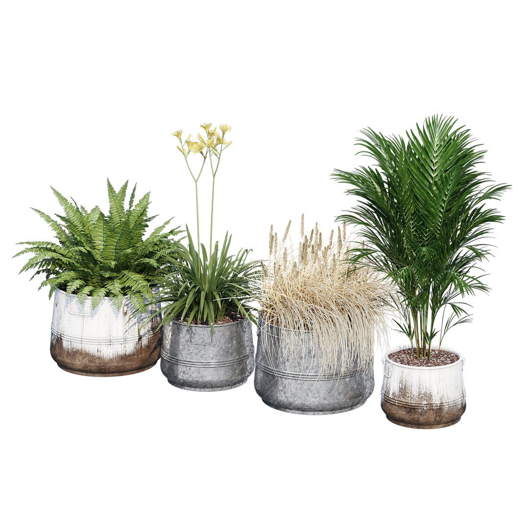 3D Cowden - TurboSquid 1761072