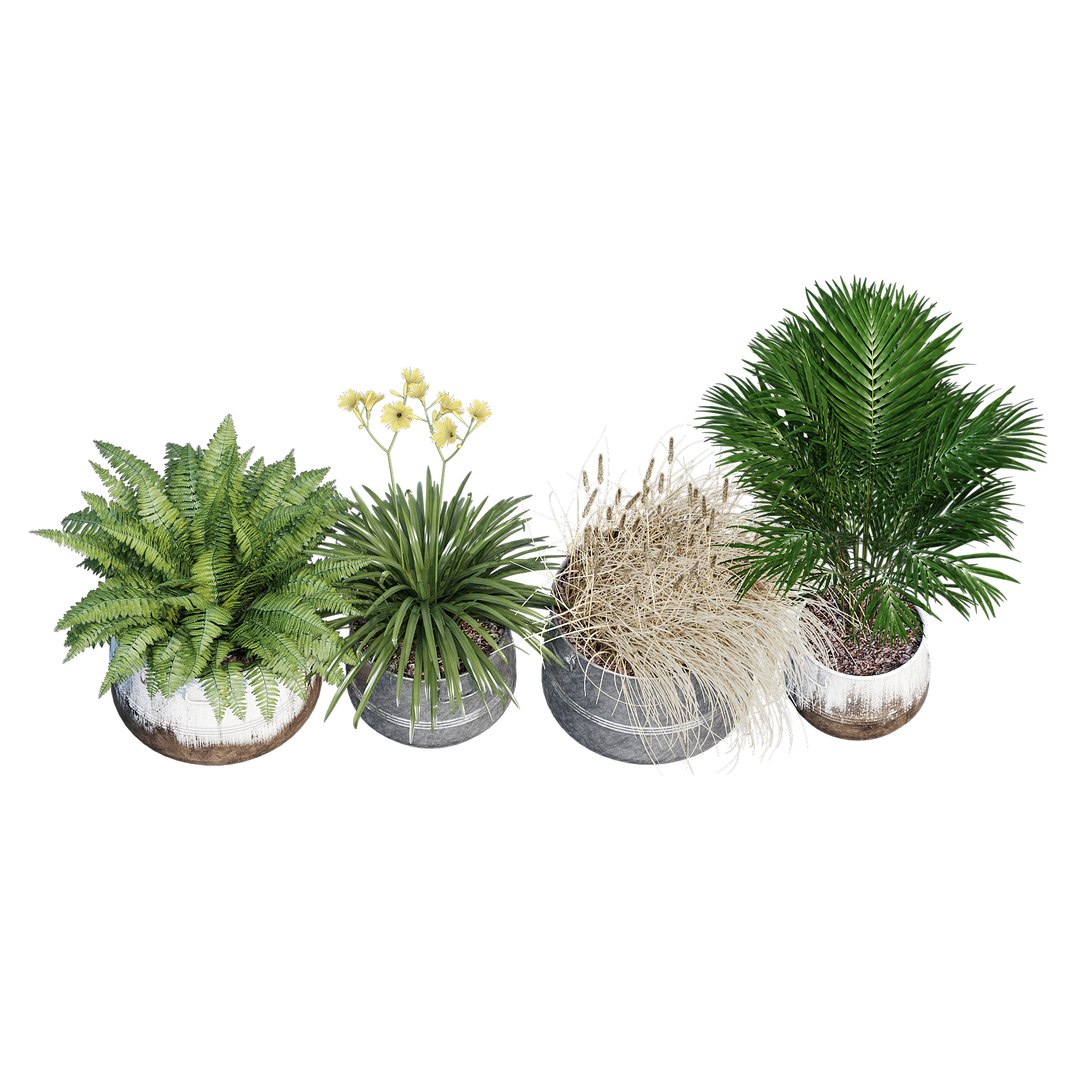 3D Cowden - TurboSquid 1761072