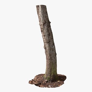Free 3D Tree Trunk Models - Available For Download On TurboSquid