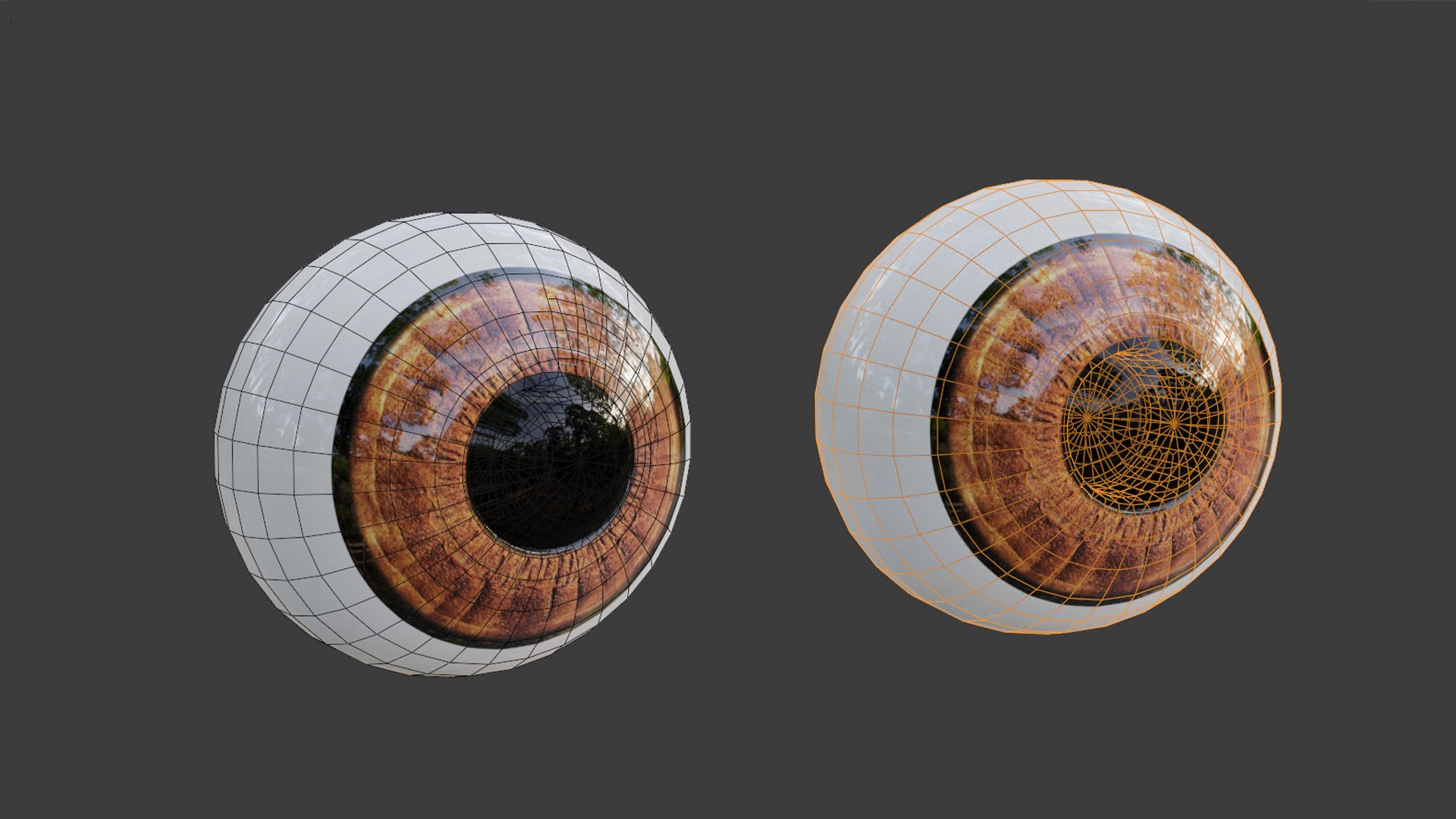 Eye 3D Model - TurboSquid 1702956