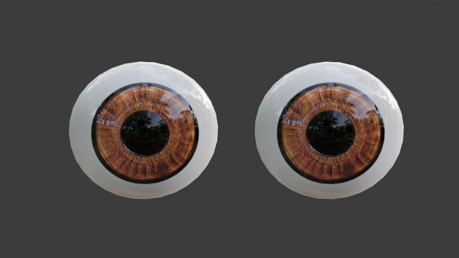 Eye 3D Model - TurboSquid 1702956