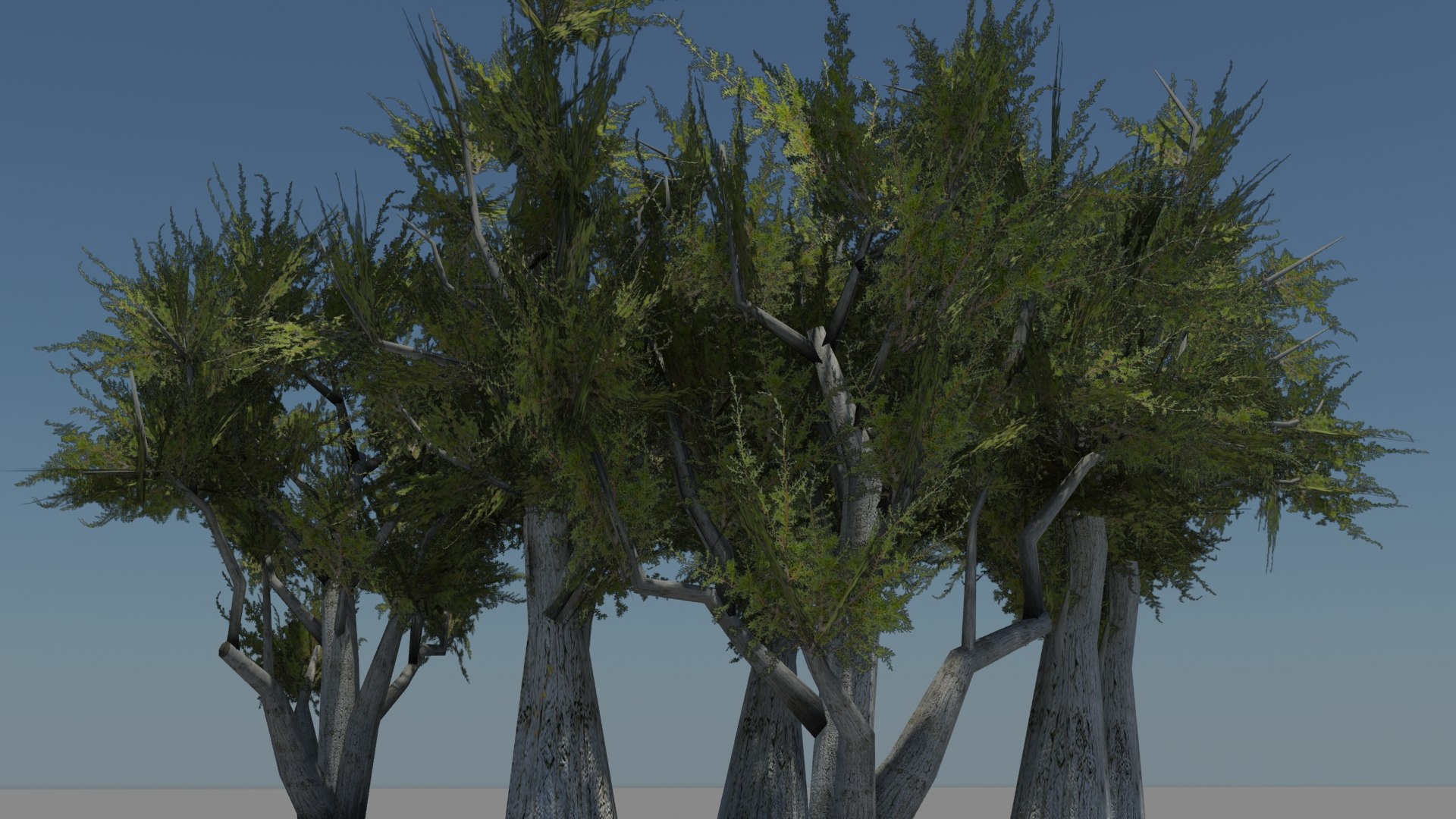 trees 3d model