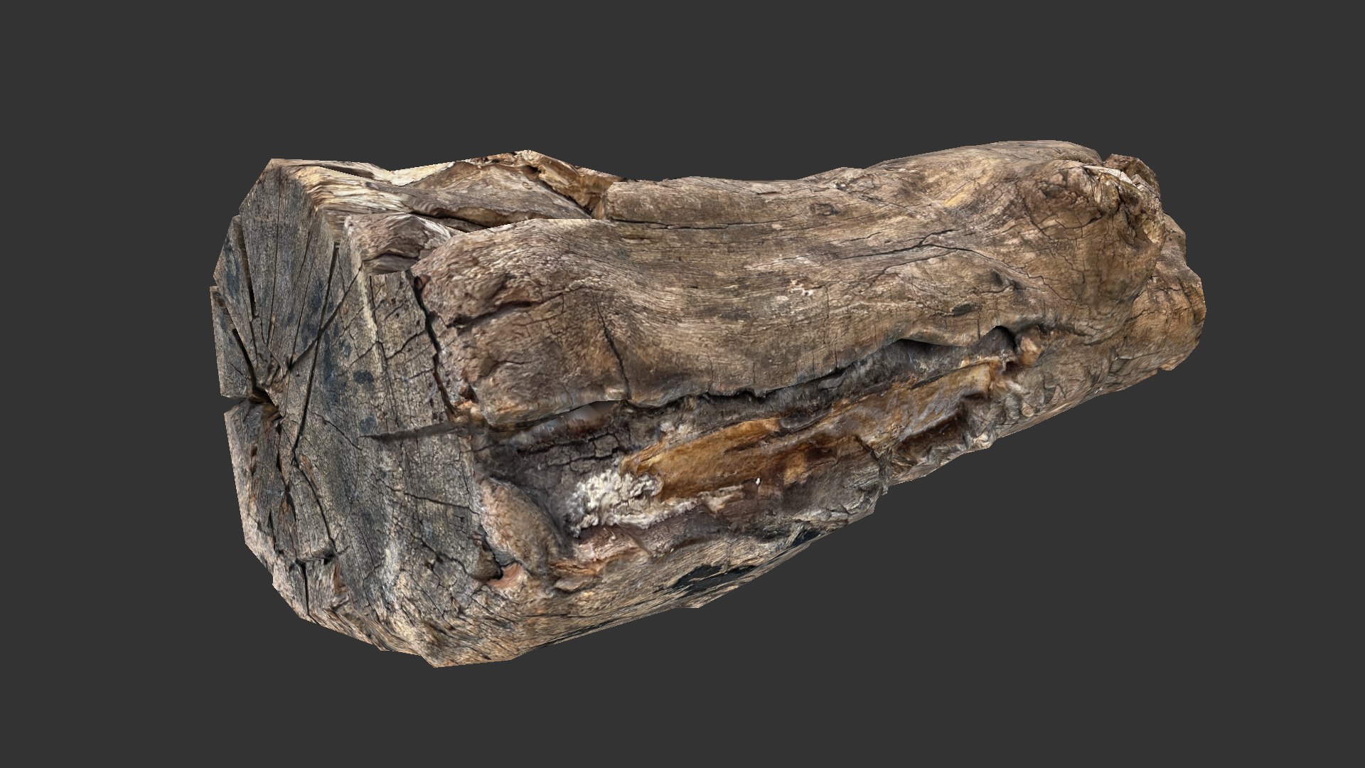 A Realistic Section Of Tree Trunk Model - TurboSquid 2165527