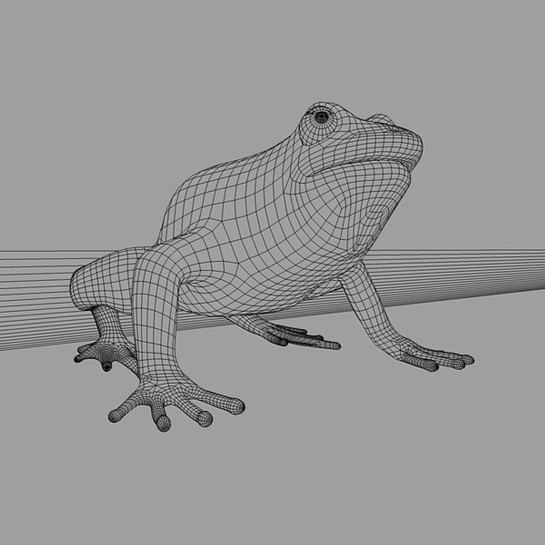 3d Model Green Tree-frog