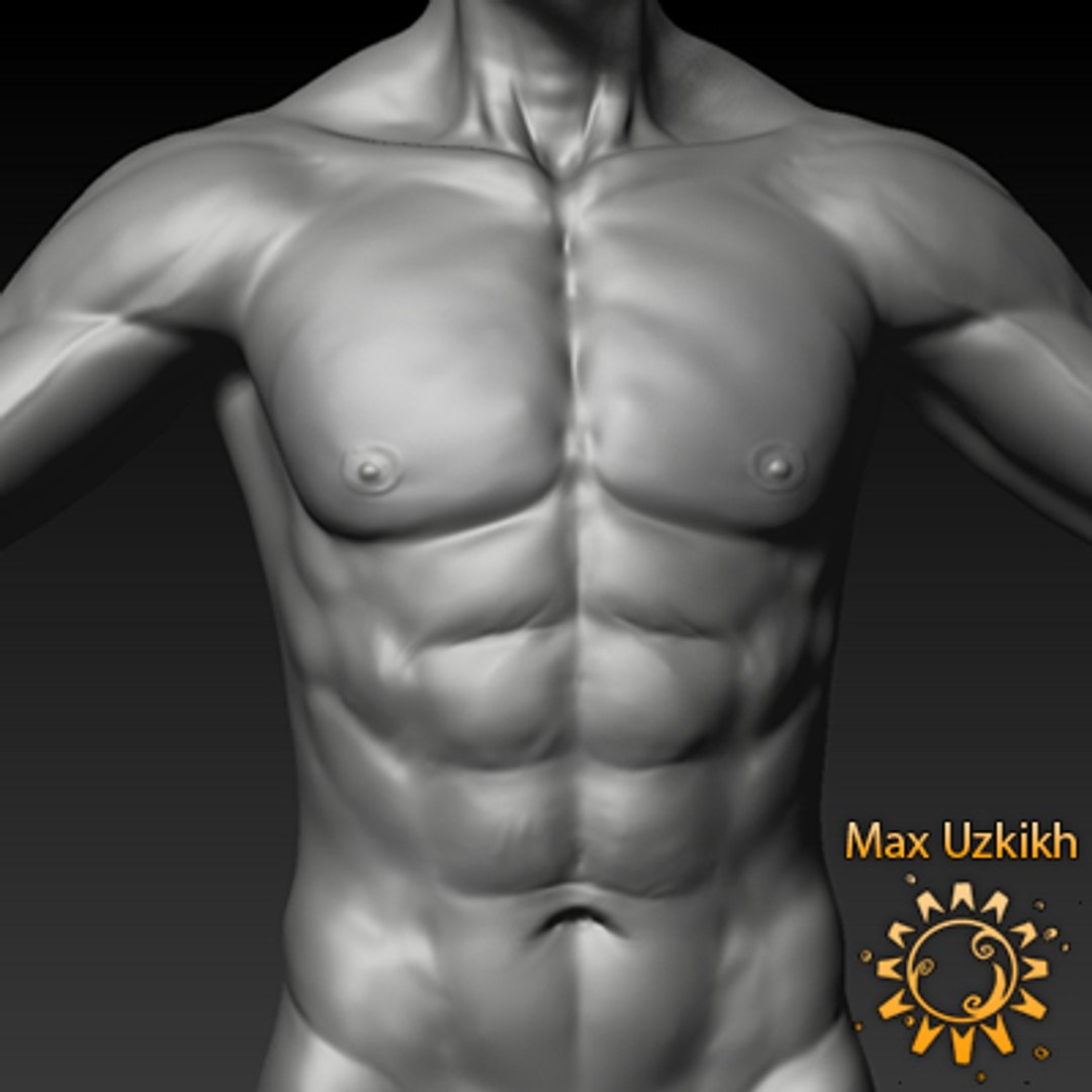 3d Model Jacob Male Heroic Character Anatomy
