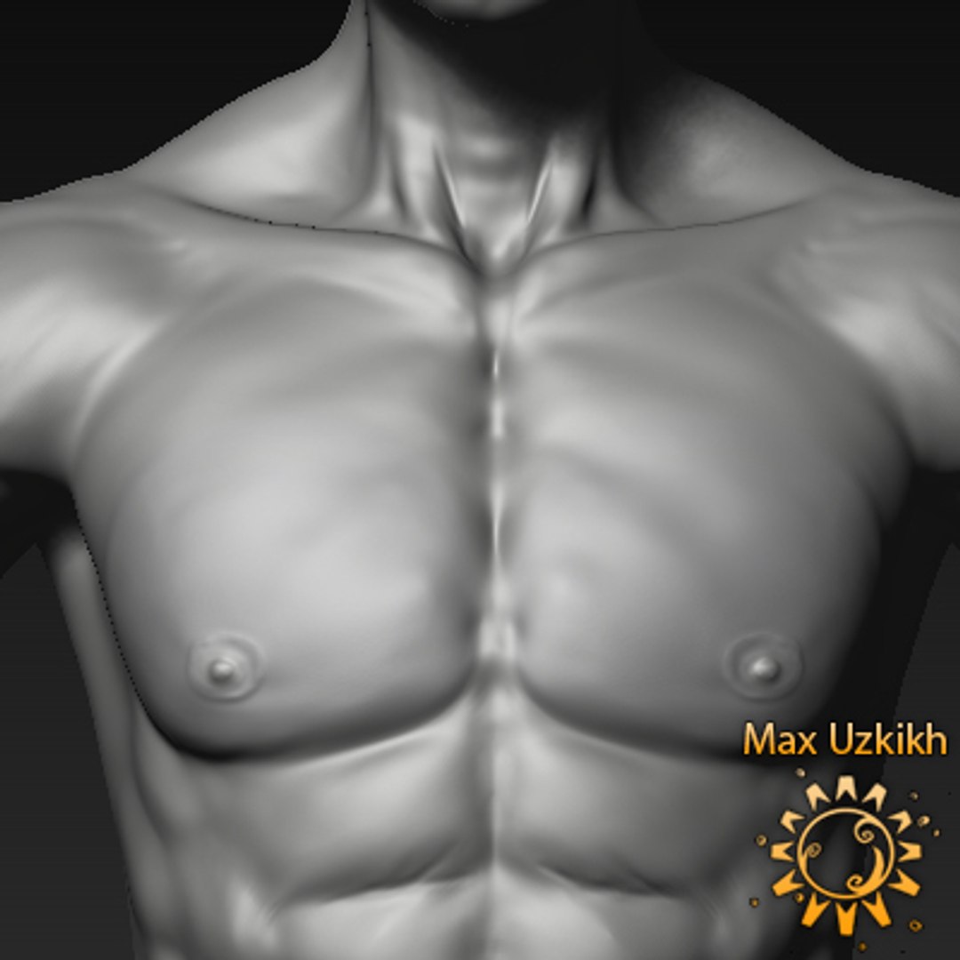 3d Model Jacob Male Heroic Character Anatomy