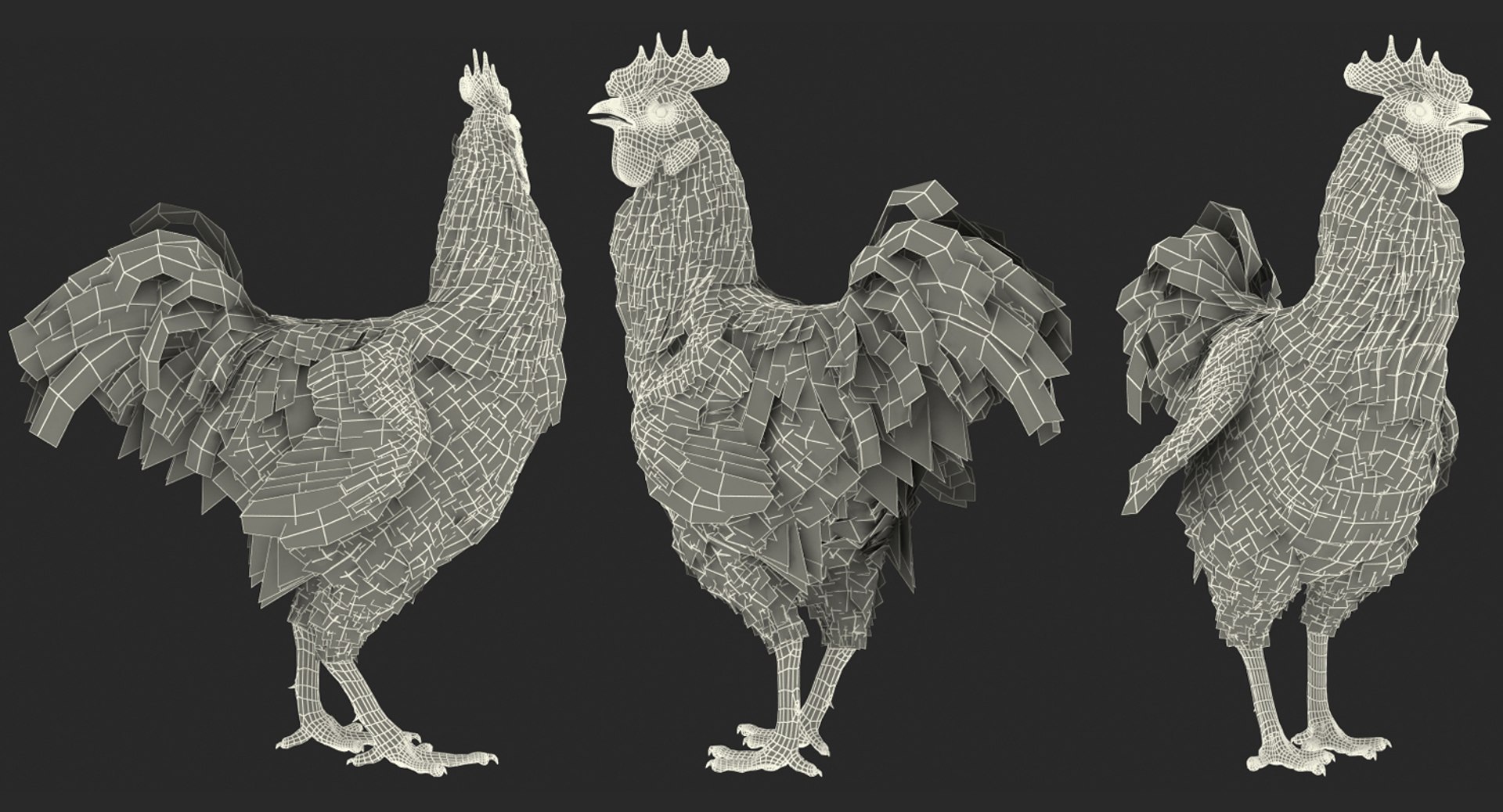 3d Brown Hen Standing Model
