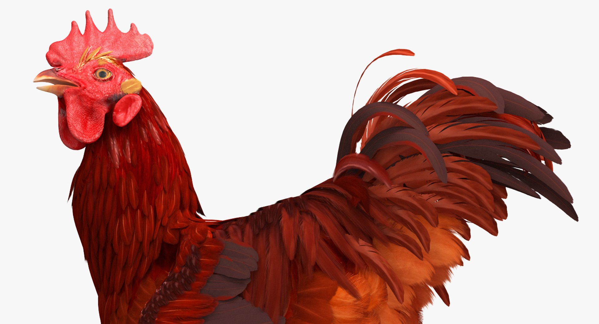 3d brown hen standing model