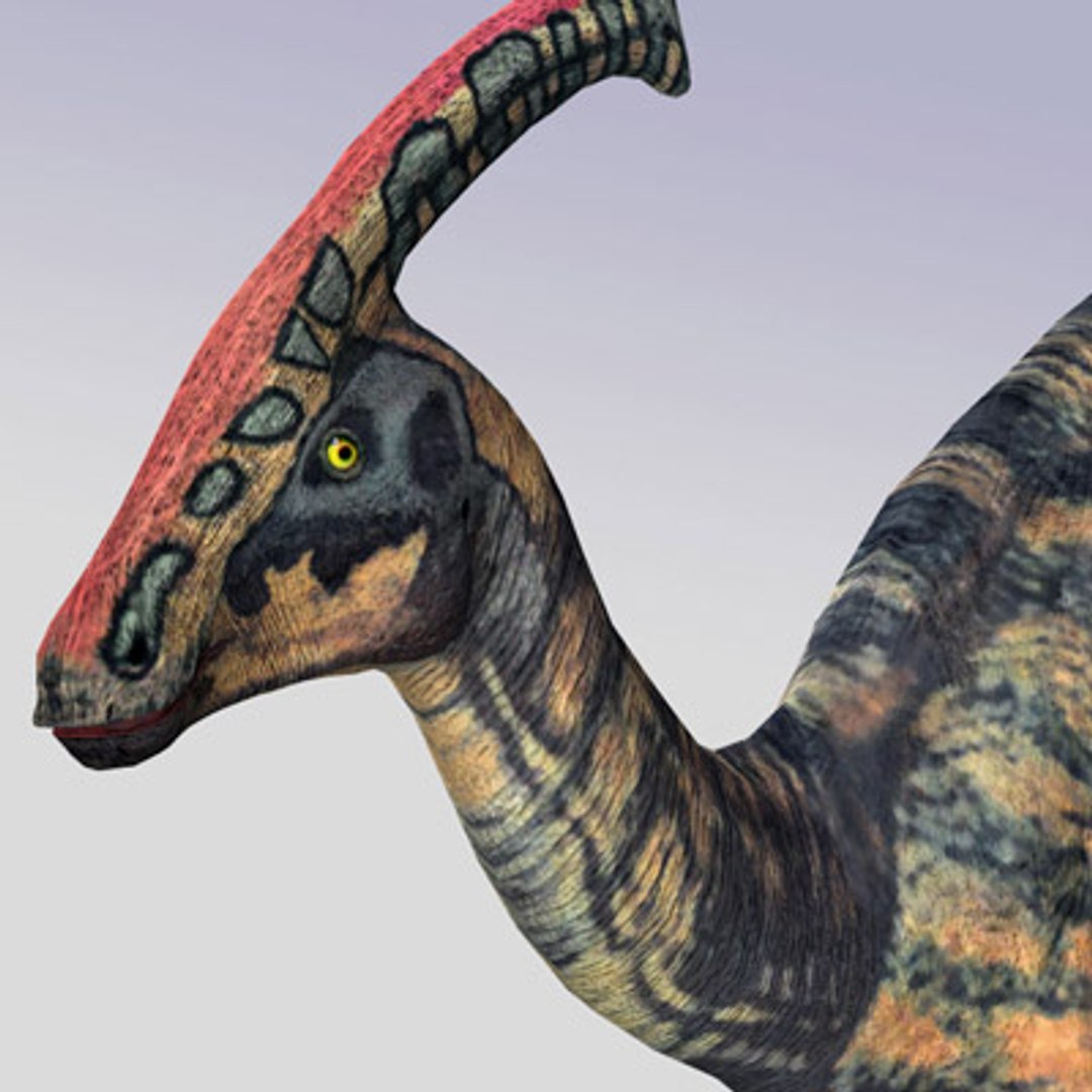 3d Parasaurolophus