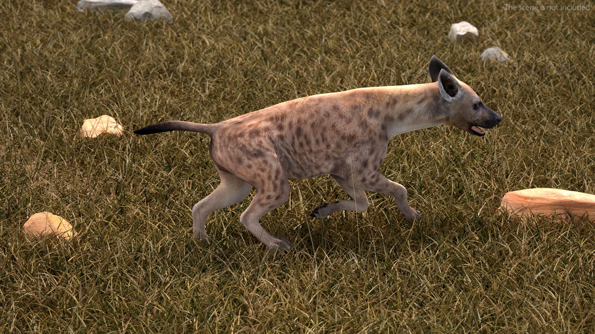 Running Pose Hyena 3D Model - TurboSquid 1712834