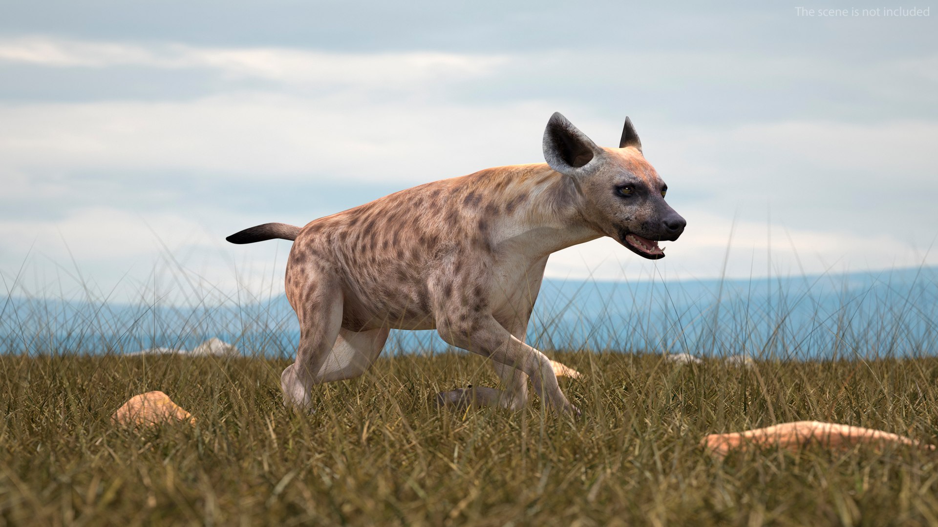 Running Pose Hyena 3D Model - TurboSquid 1712834