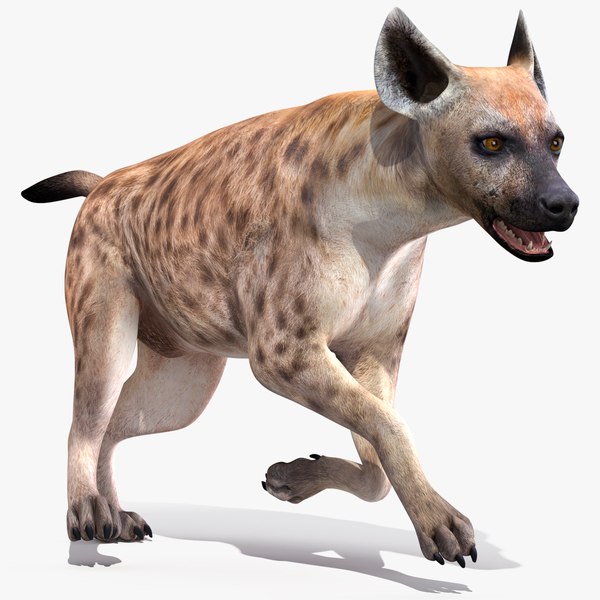 Hyena 3D Models for Download | TurboSquid
