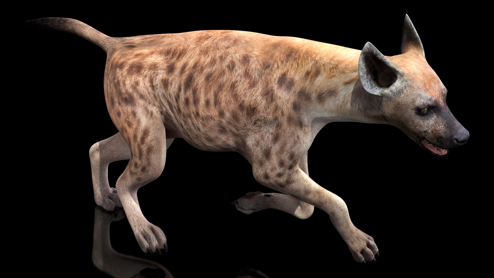 Running Pose Hyena 3D Model - TurboSquid 1712834