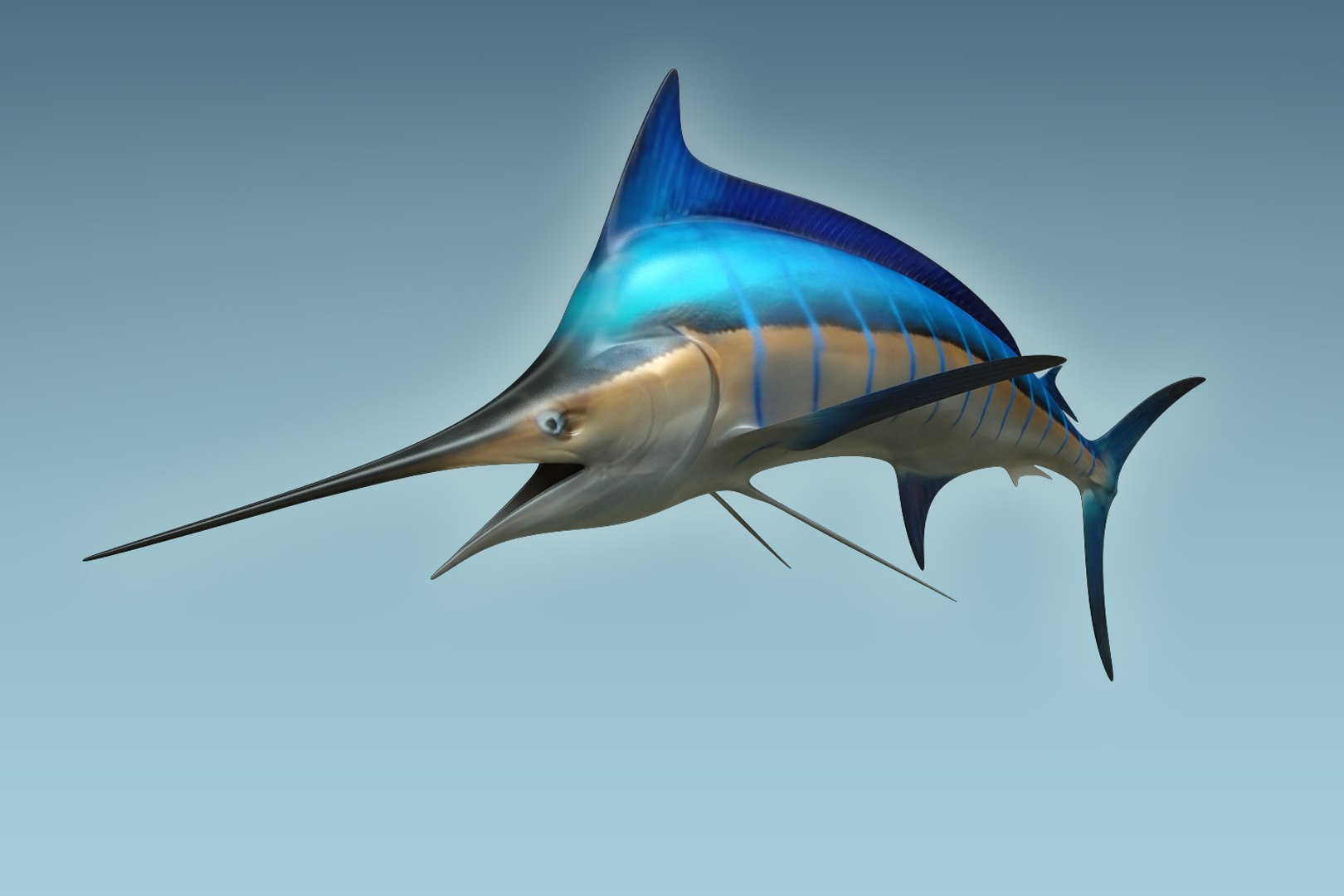 3D Marlin Animal Model - TurboSquid 1199456