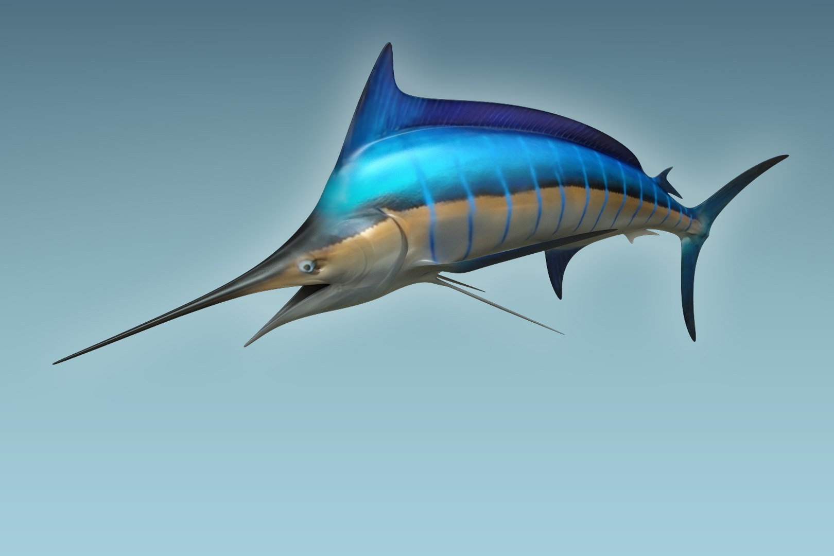 3D Marlin Animal Model - TurboSquid 1199456