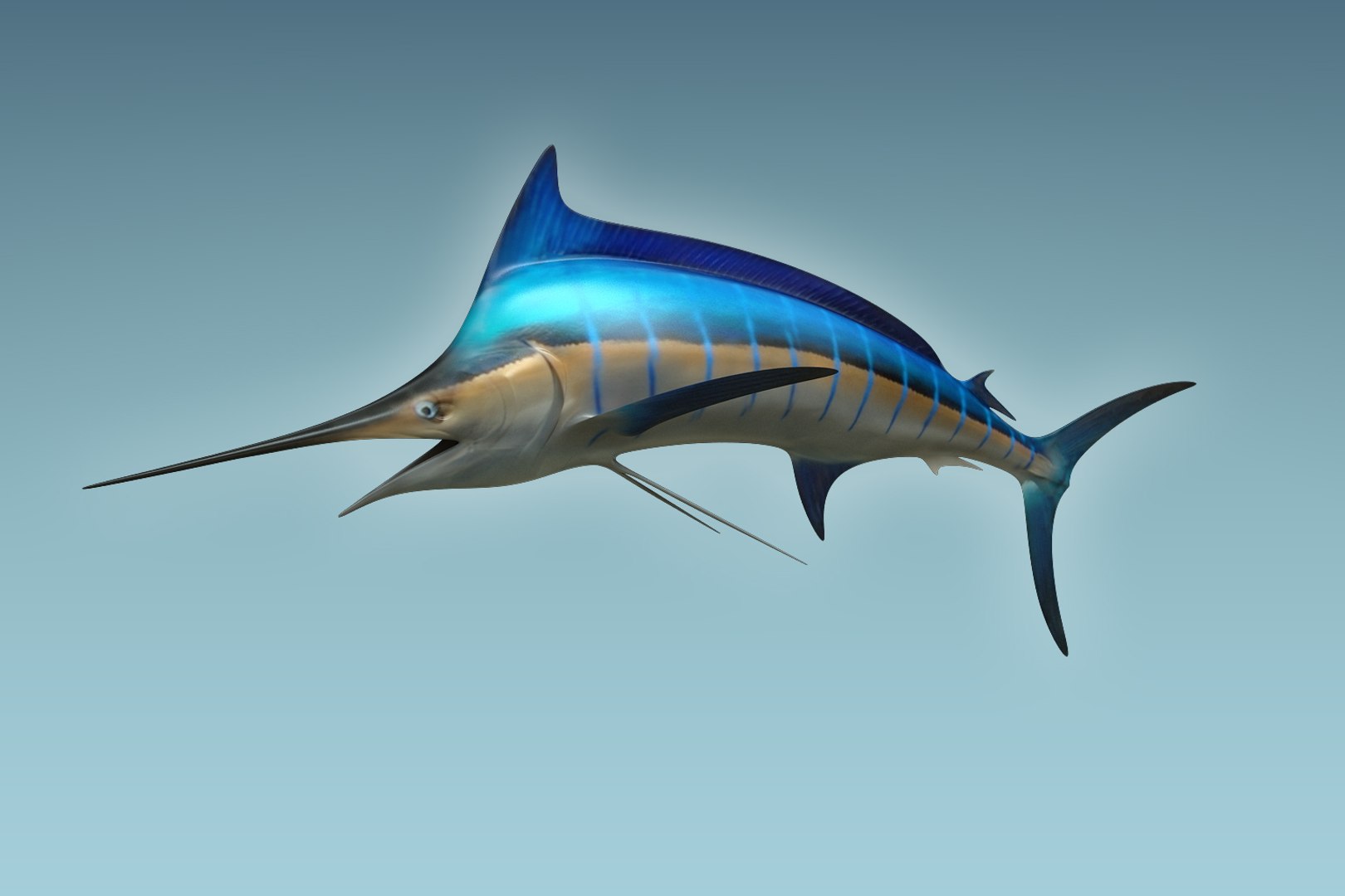 3D Marlin Animal Model - TurboSquid 1199456