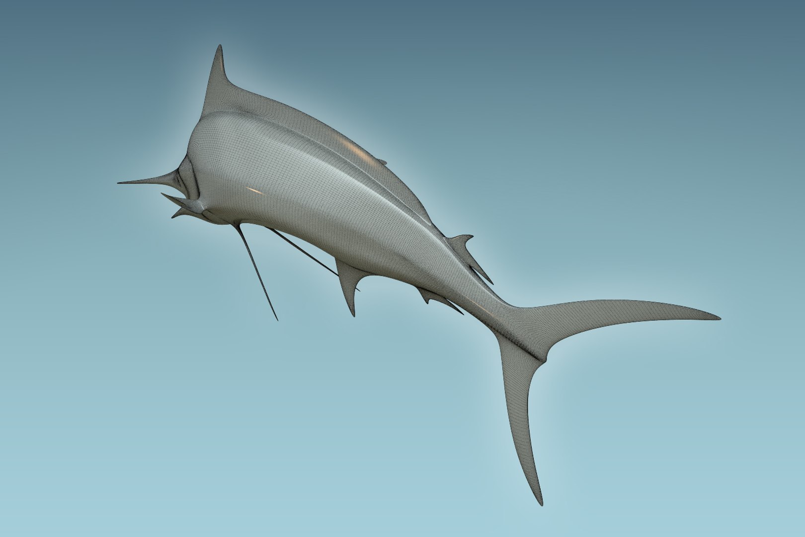 3D Marlin Animal Model - TurboSquid 1199456