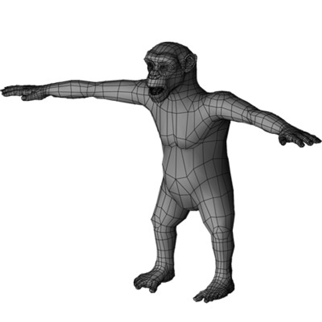 Chimp Primate 3d Model