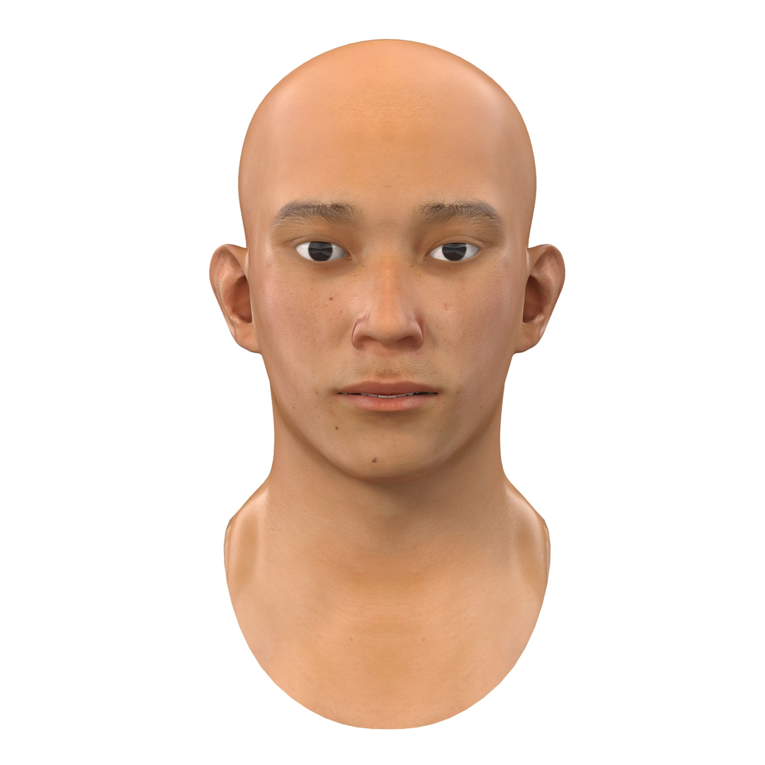 3d Model Asian Male Head 2