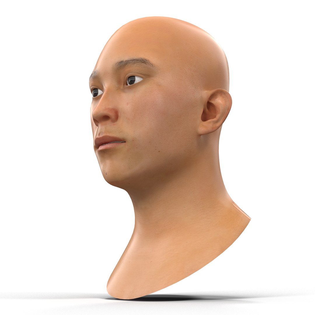 3d Model Asian Male Head 2