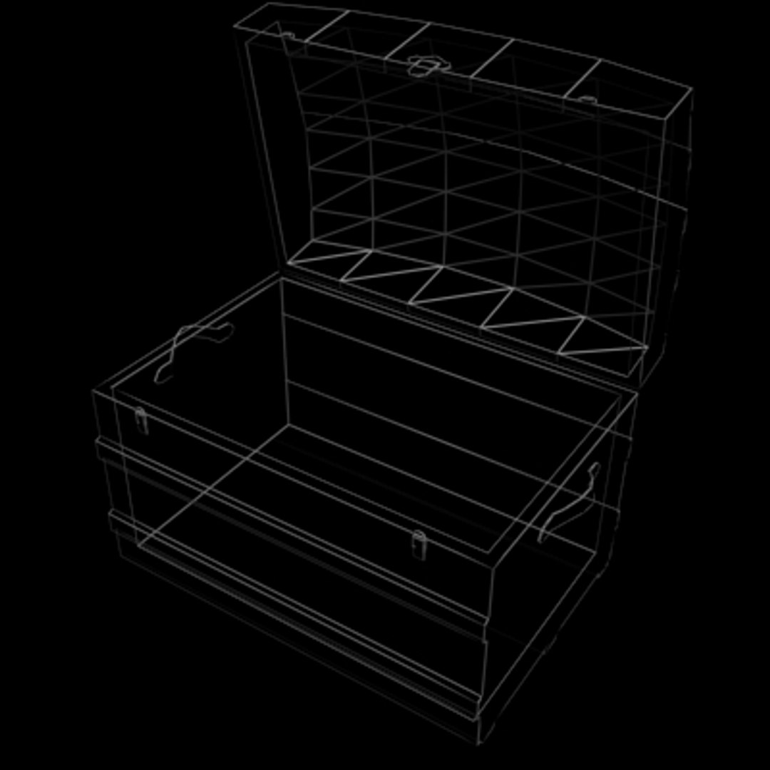 3d Model Old Trunk