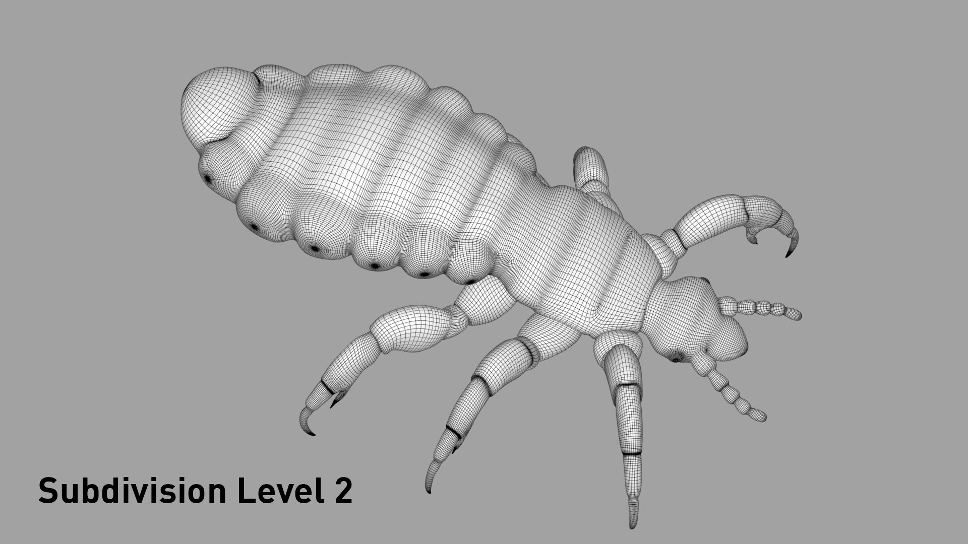 3d Model Rigged Louse