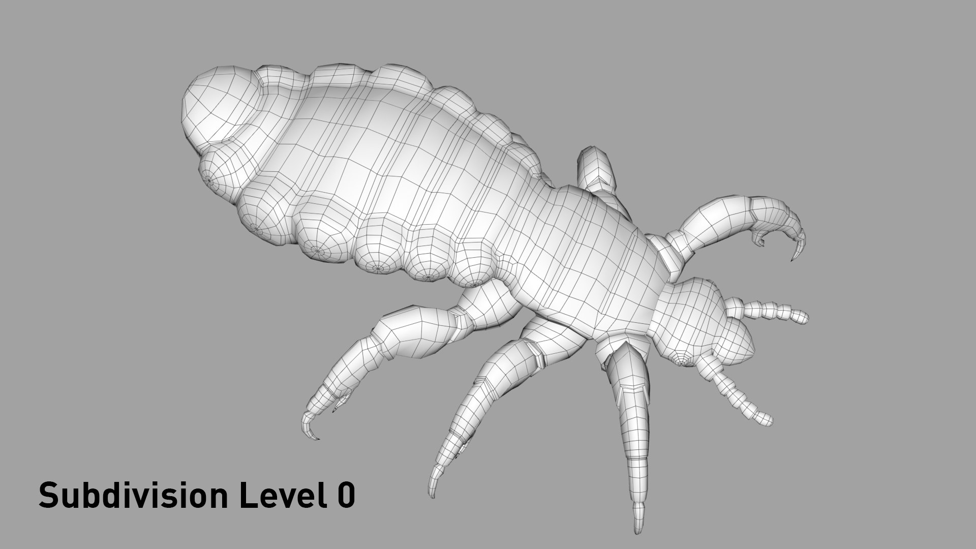 3d Model Rigged Louse