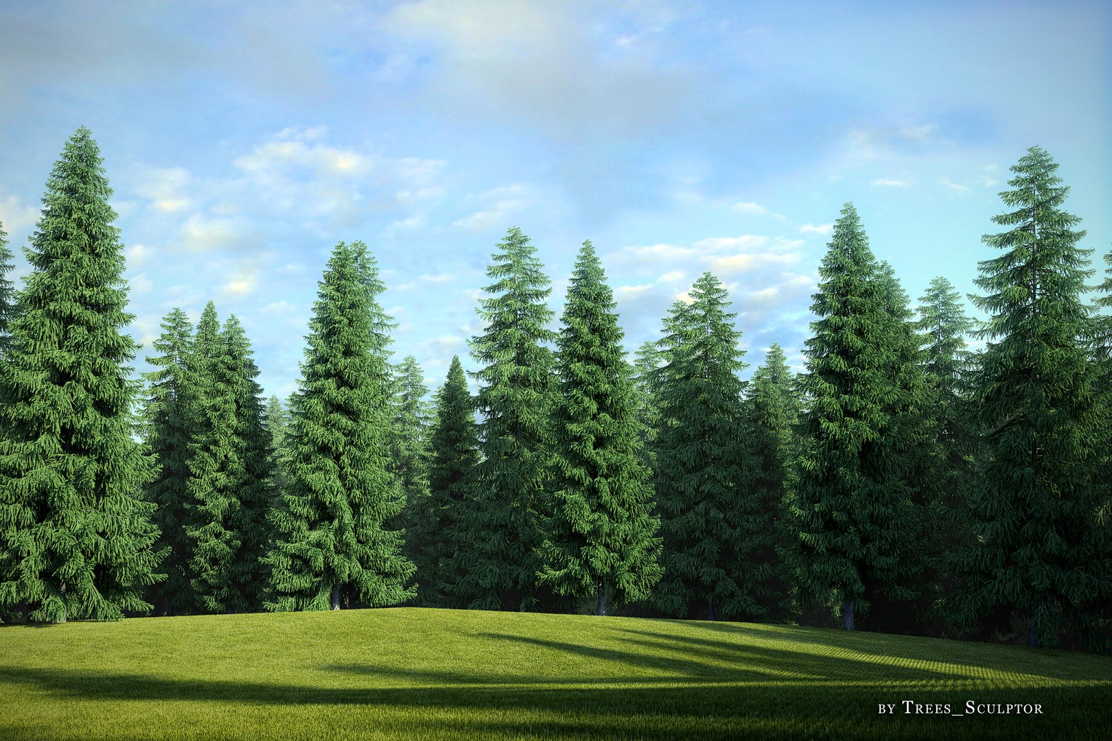 Fir-tree Tree 3d Model
