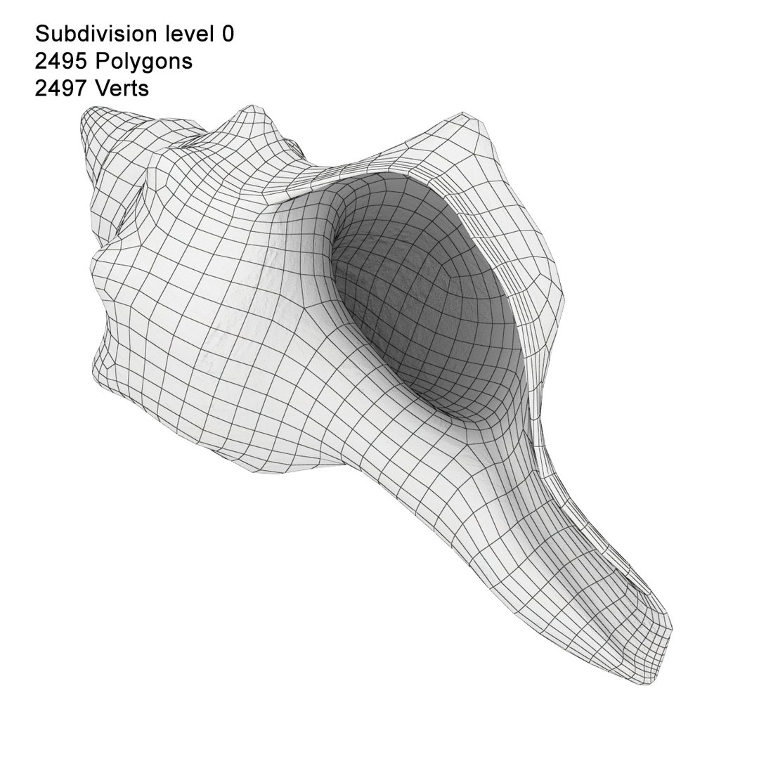 3d Conch Underwater Scanning