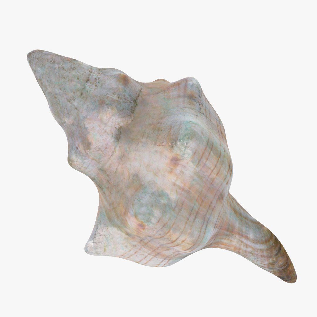 3d Conch Underwater Scanning