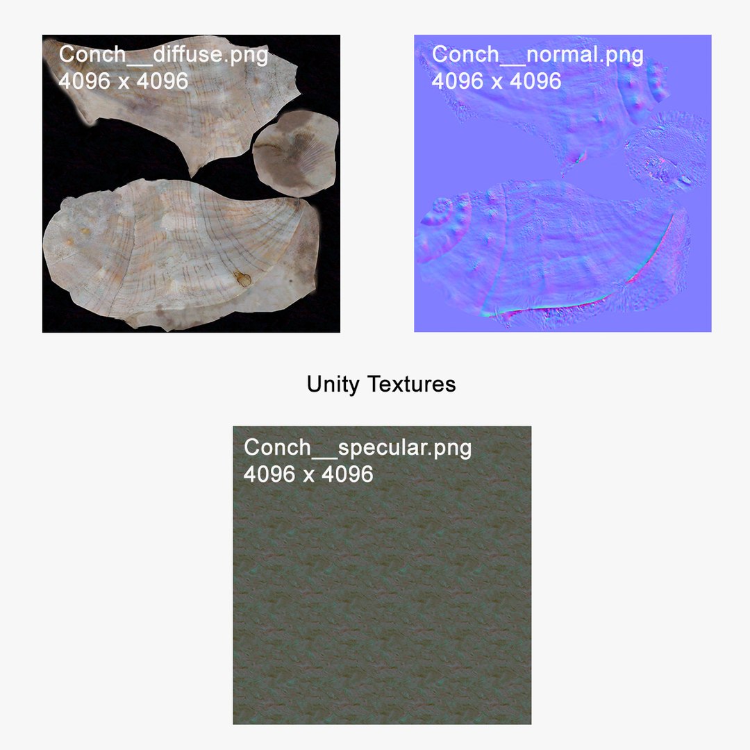 3d Conch Underwater Scanning