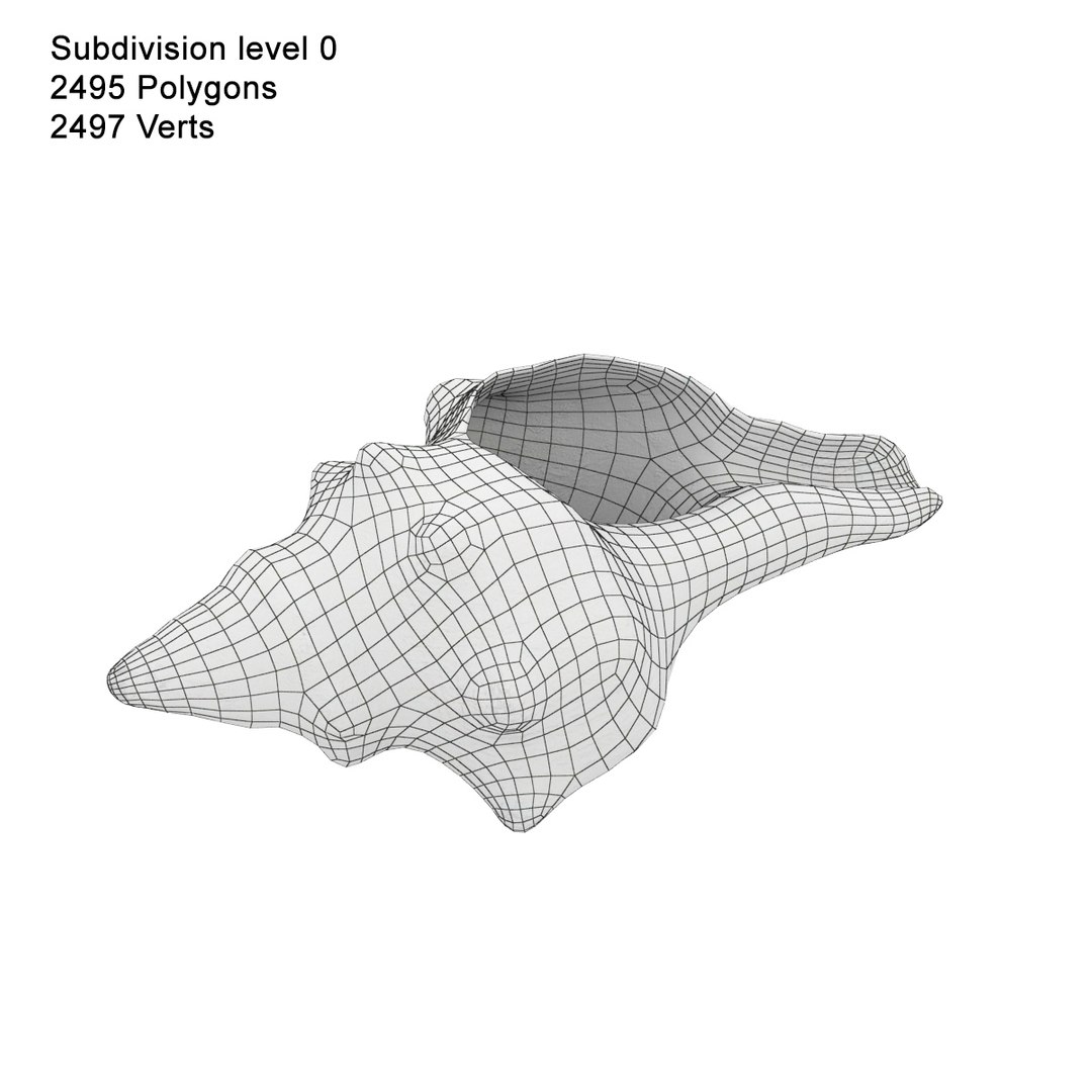 3d Conch Underwater Scanning