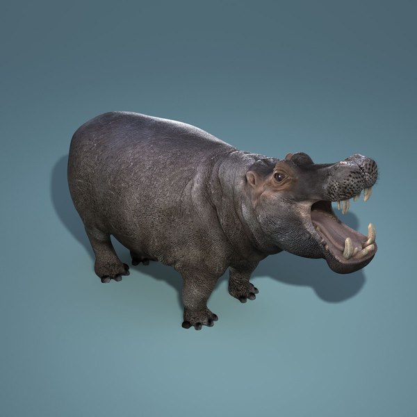 photorealistic hippopotamus rigged ma