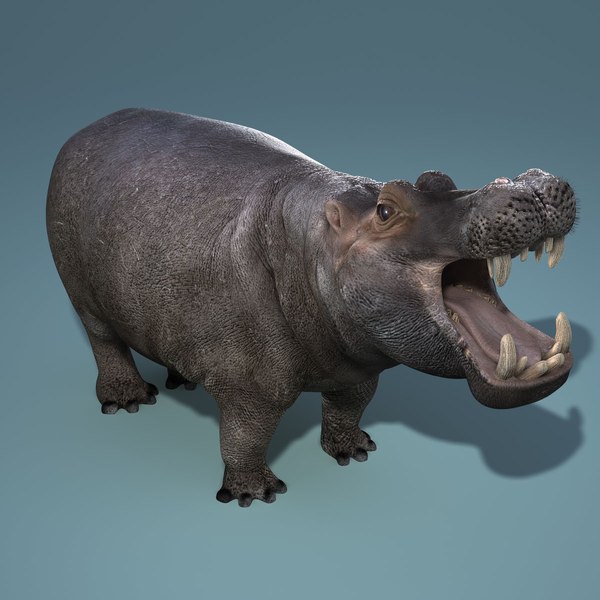 photorealistic hippopotamus rigged ma