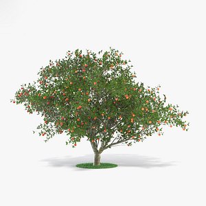 Free 3D Apple-Tree Models | TurboSquid