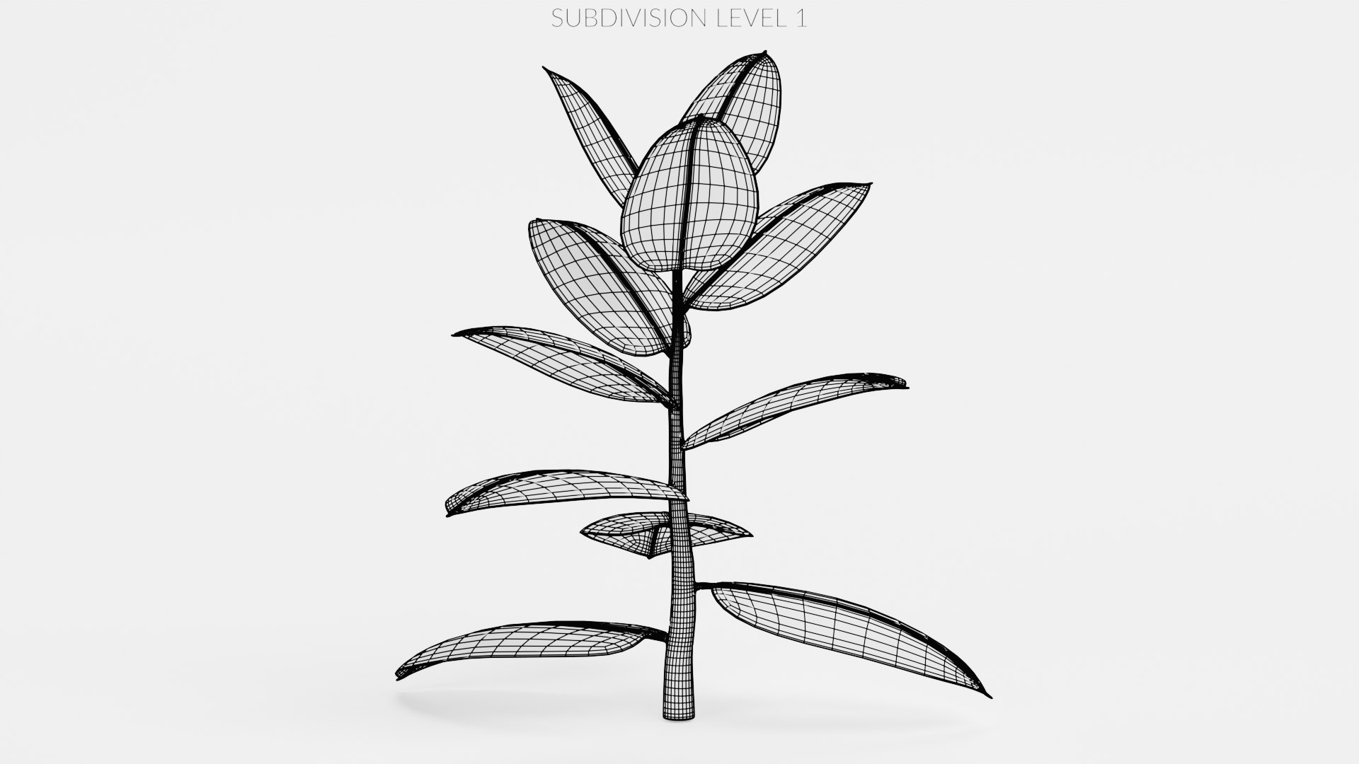 3D Rubber Tree - TurboSquid 1893995