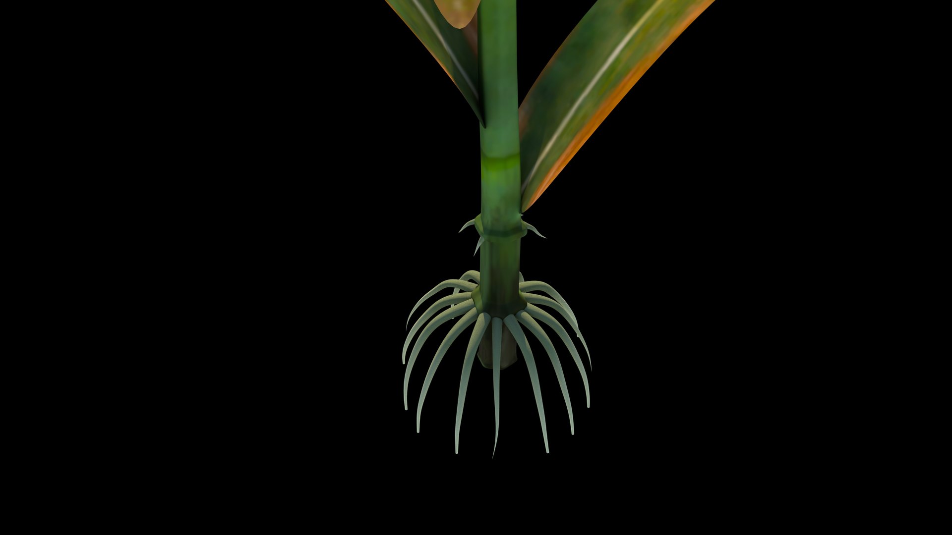 3D Model Corn Stalk Maze Plant - TurboSquid 2207093