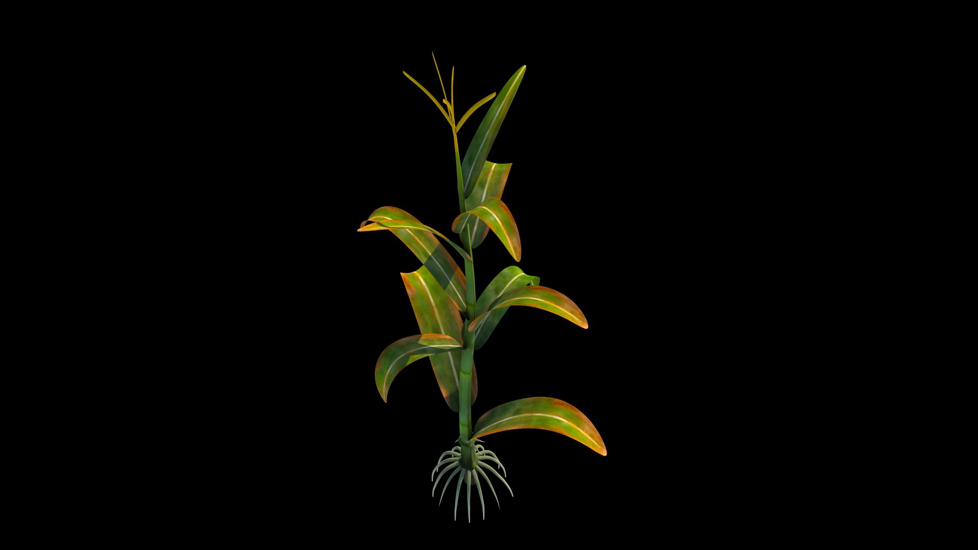 3D Model Corn Stalk Maze Plant - TurboSquid 2207093