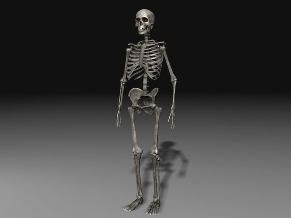 Free Blender Skeleton Models | TurboSquid