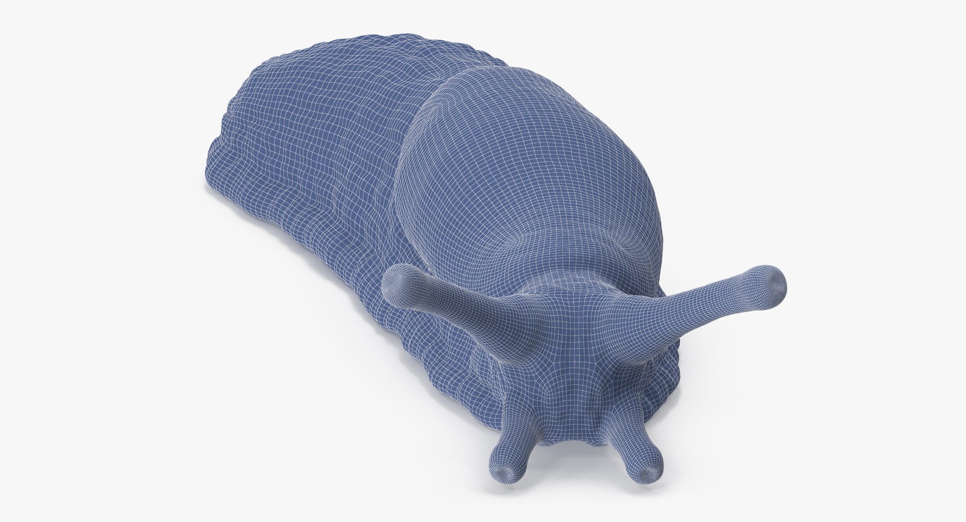 slug 01 3d model