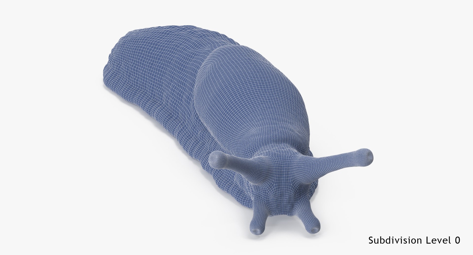 slug 01 3d model